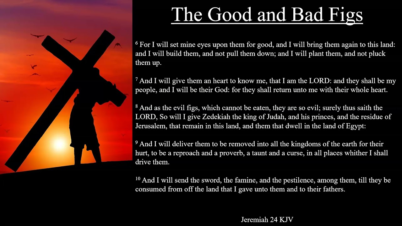 Jeremiah 24 KJV | The Good and Bad Figs - YouTube