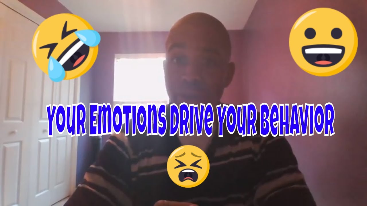 How emotions drive our behavior - YouTube