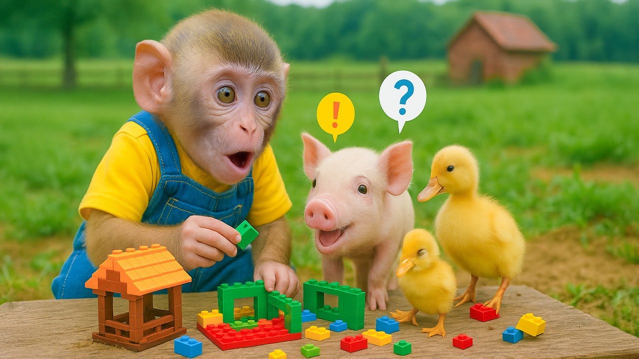 Mono Mimi se une a la clase de montaje de la granja de cerdos - YouTube