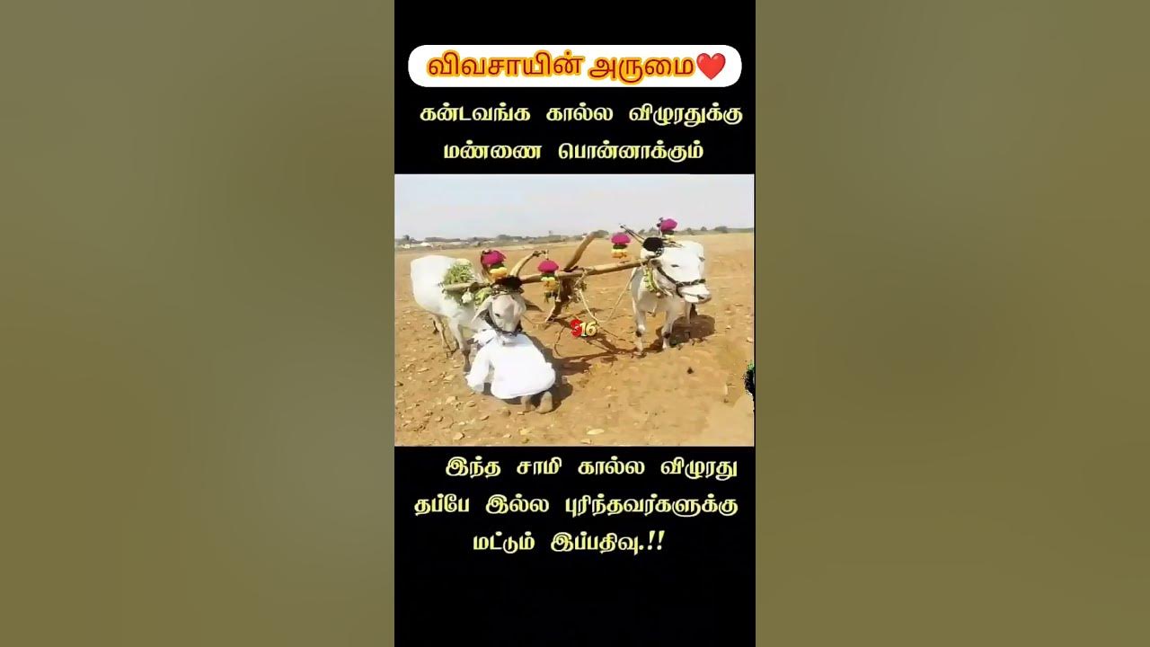 july-24-2023-youtube