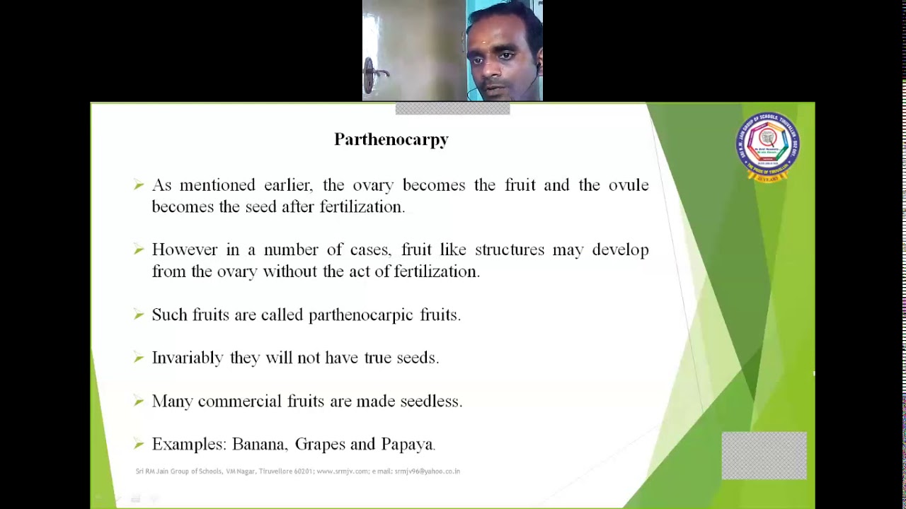 State Board - Class - XII - Bio- Botany - Lesson 1 Monocot Seed. - YouTube