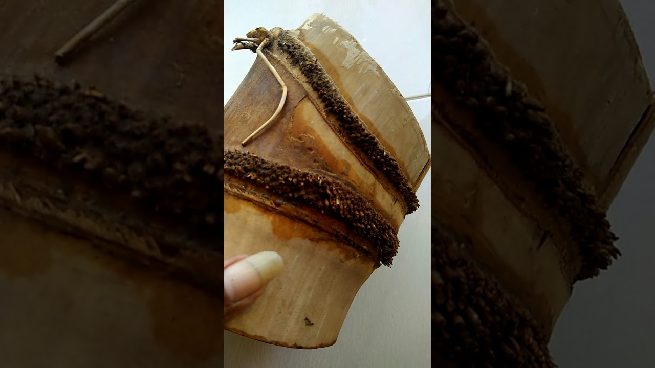 BULUH PERINDU BUMBUNG BAMBU - YouTube