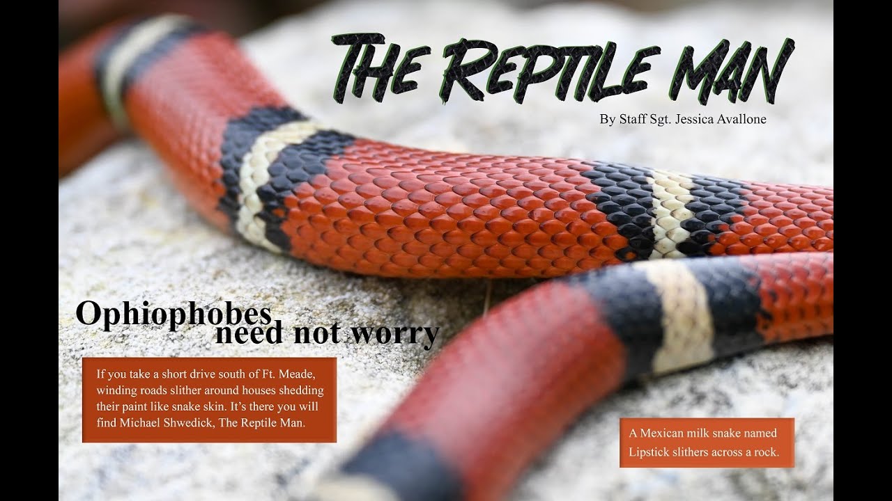 Michael Shwedick: The Reptile Man - YouTube