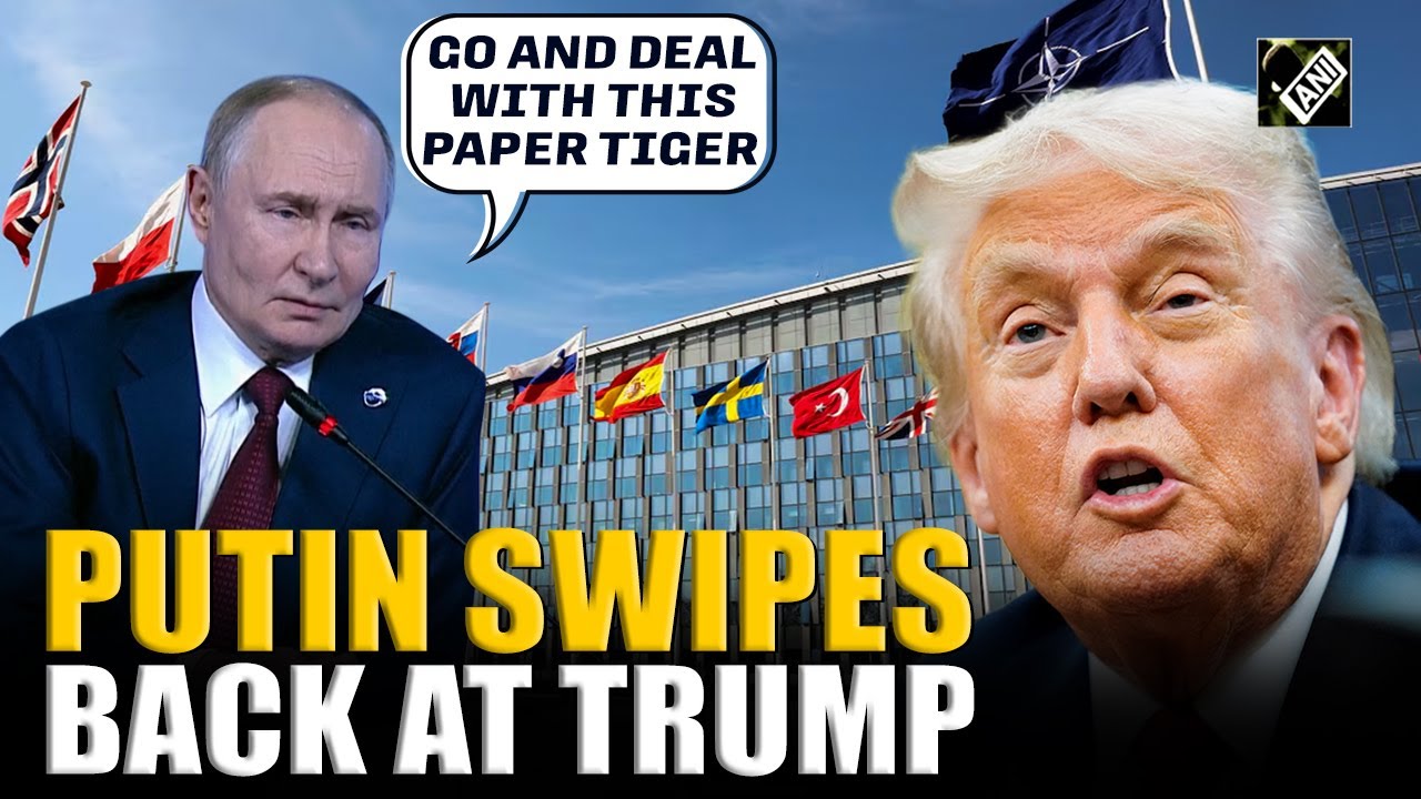 'If Russia is a paper tiger, what is NATO?’ Putin swipes back at ...