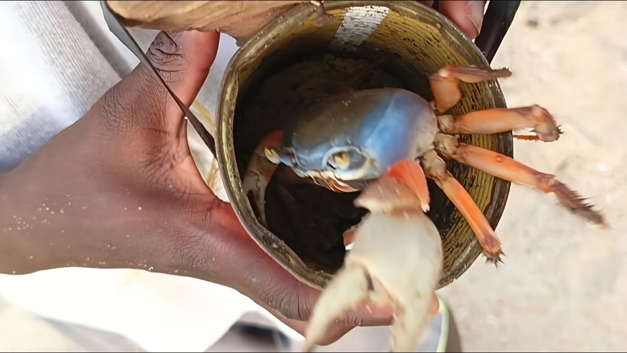 How We Catch Crabs In Ghana🇬🇭 - YouTube