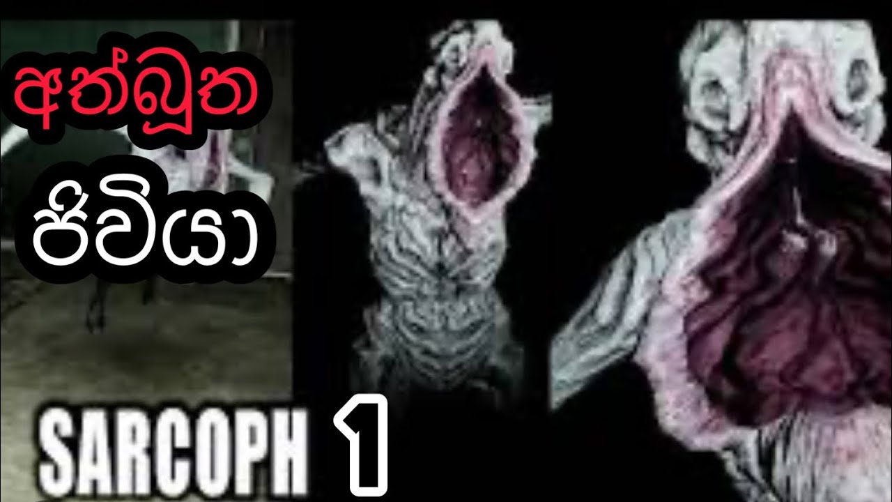 Sarcoph horror Gameplay Sinhala - YouTube