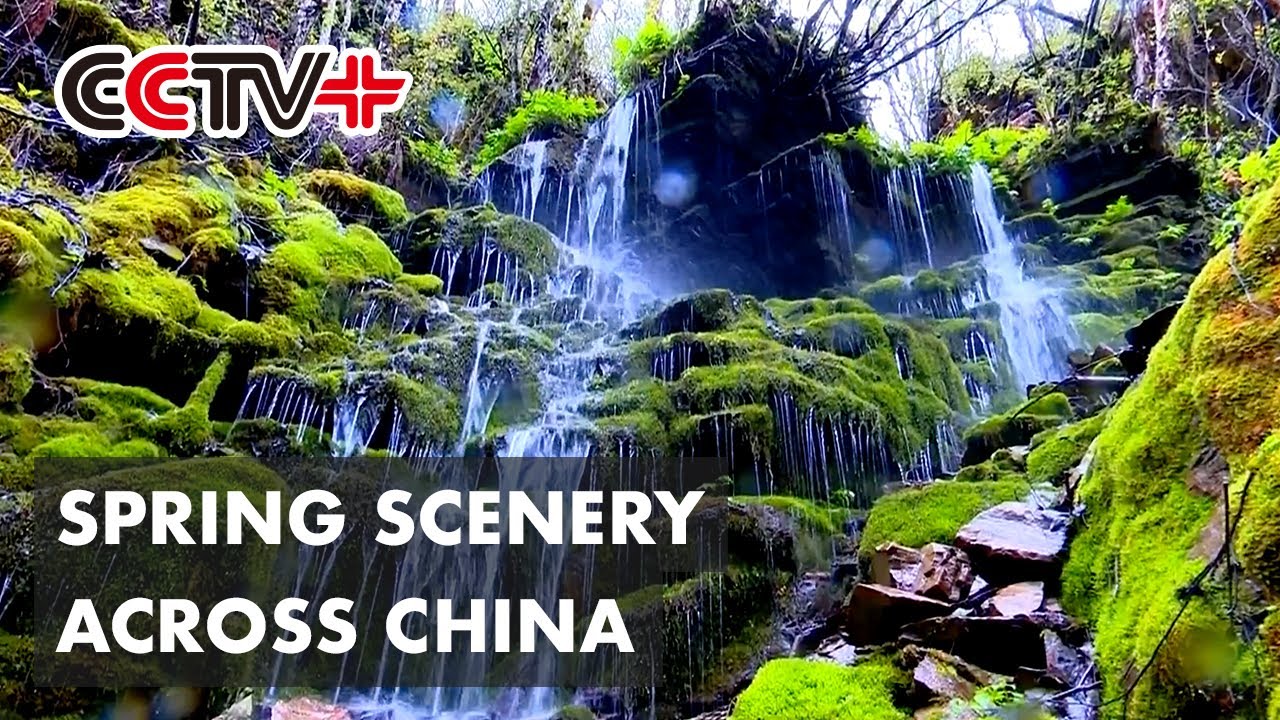 Stunning Spring Scenery Seen across China - YouTube