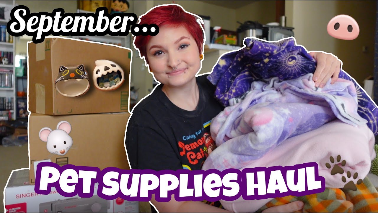 SEPTEMBER PET SUPPLIES HAUL 🐾 - YouTube