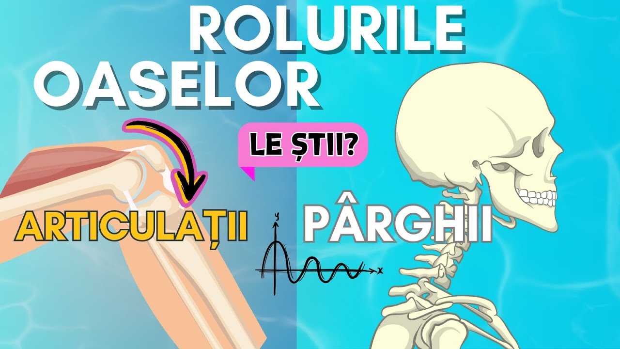 Cum ne ajuta OASELE corpului ? Sistemul osos pentru MEDICINA (parghii ...