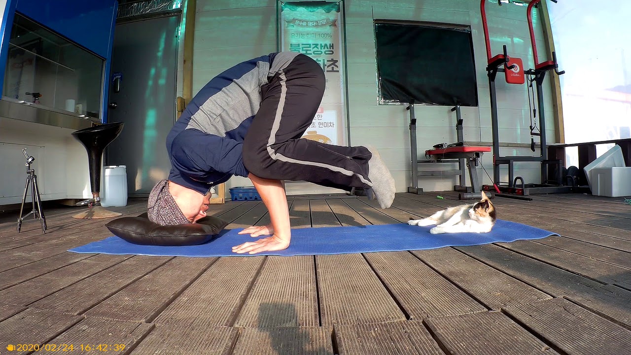 [플란체연습]턱플란체를 위한 준비동작-개구리자세 1단계(Preparation for Tuck Plane - Frog Stand ...