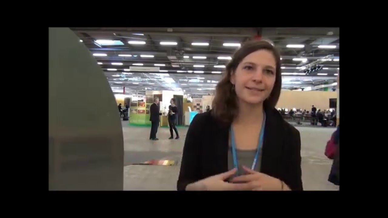 Five Minutes at the COP21: Climate and Displacement with Erica Bower ...