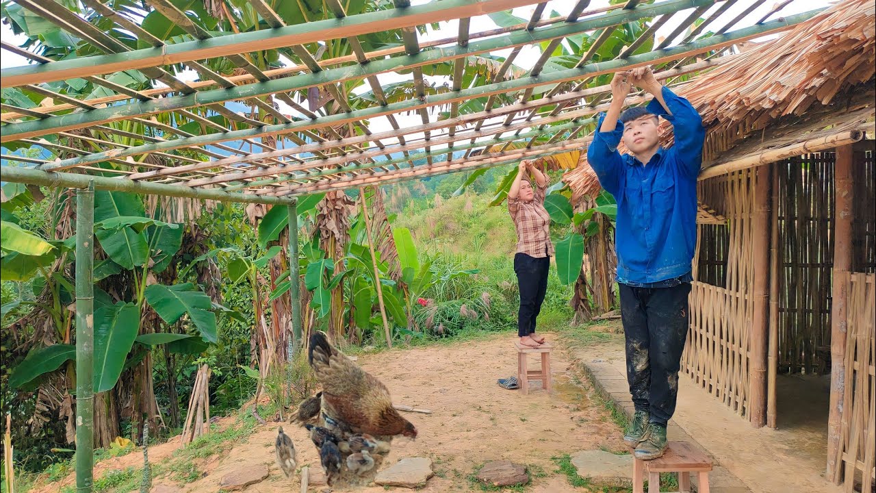 How to make a bamboo truss, Cooking bran for pigs to eat, taking care ...