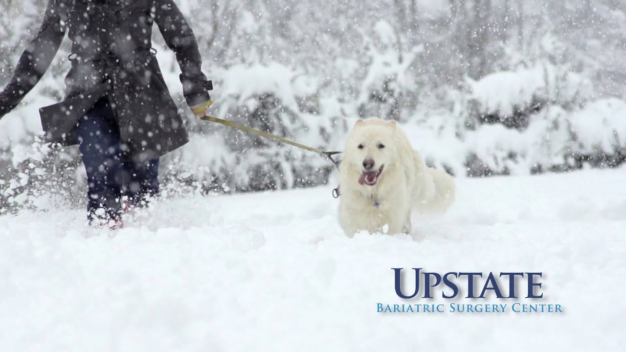 Upstate Dog Walk 15 - YouTube
