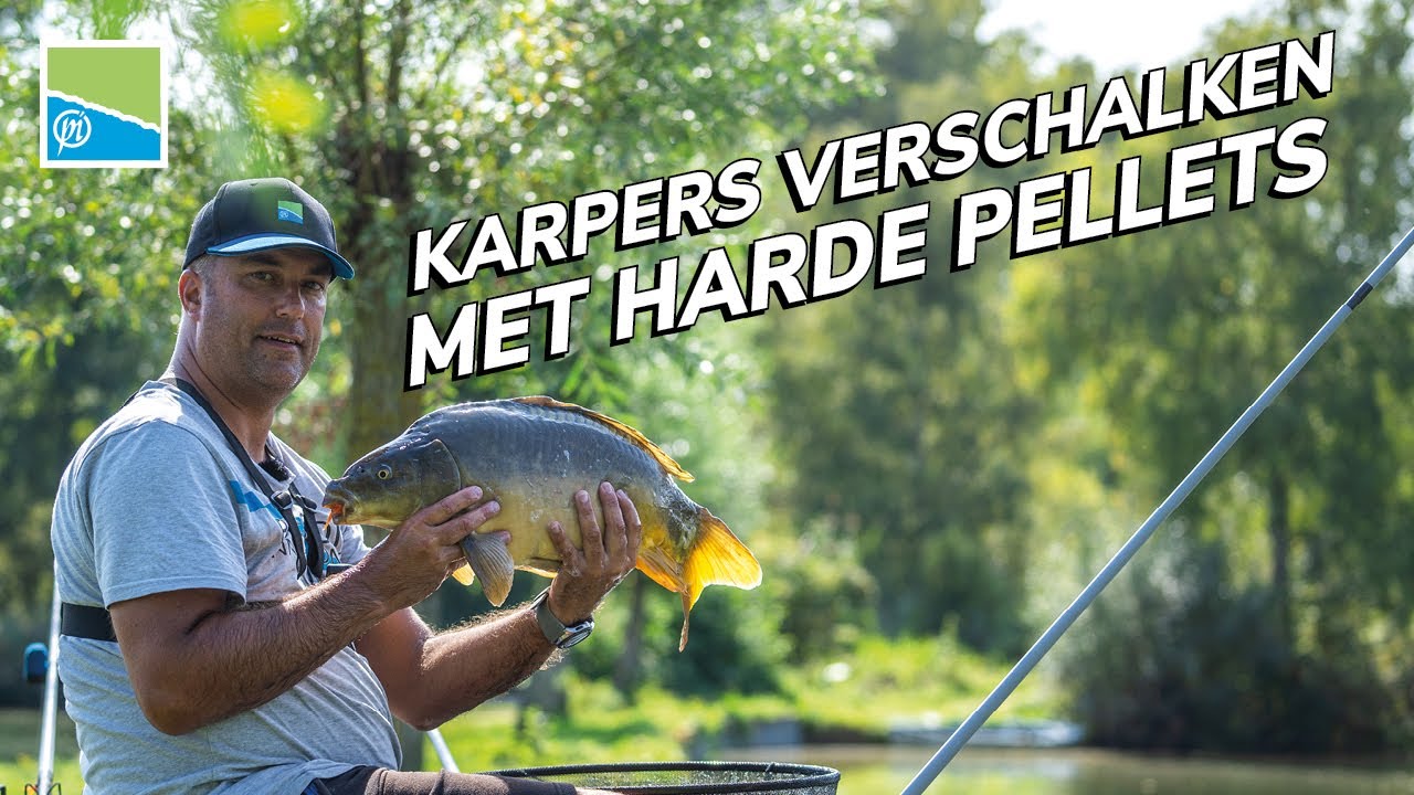 KARPERS VERSCHALKEN MET HARDE PELLETS | Davy Verdoorent - YouTube