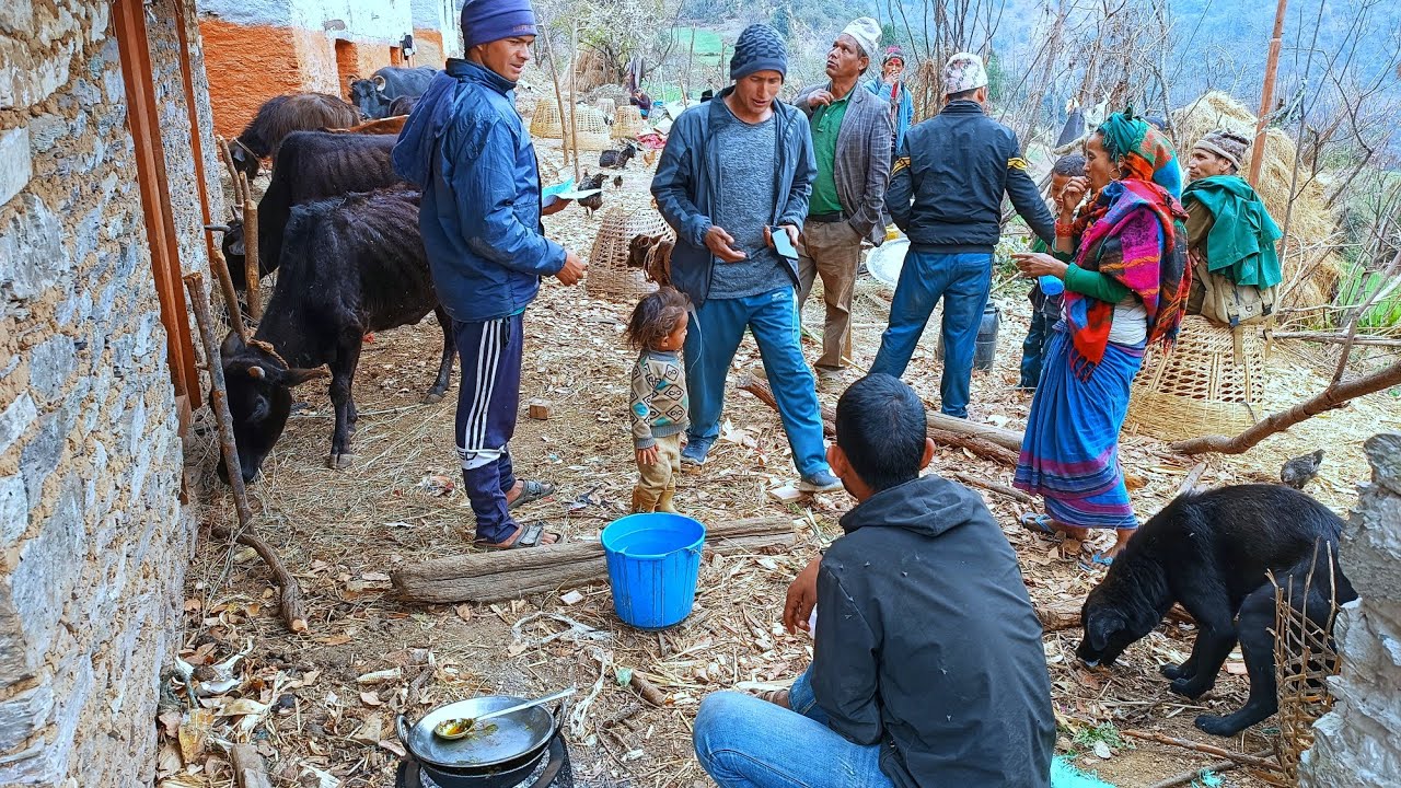 Cooking and eating chicken meat in a Nepalese village ......||natural ...