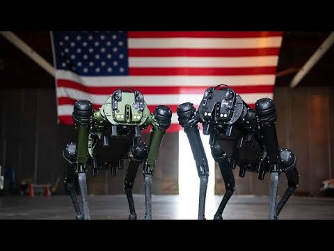 Military-Grade Robot Dogs! What Is the Ghost Robotics VISION 60? - YouTube