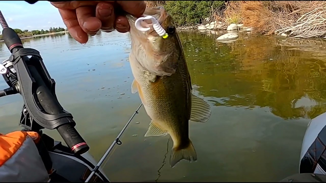 Fishing at Santa Fe Dam on a Float tube... Dinker fest - YouTube