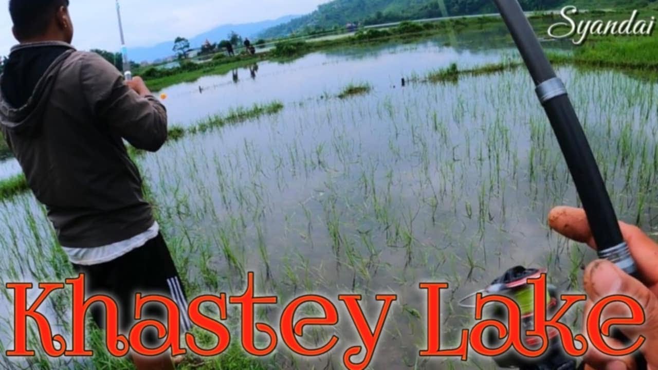 Khastey Lake Amazing Fishing Paddy Field 🎣 || Khastey Lake Fishing ...
