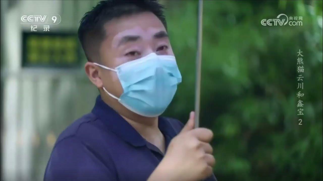 The Documentary of Giant Pandas Yun Chuan and Xin Bao 02 - YouTube