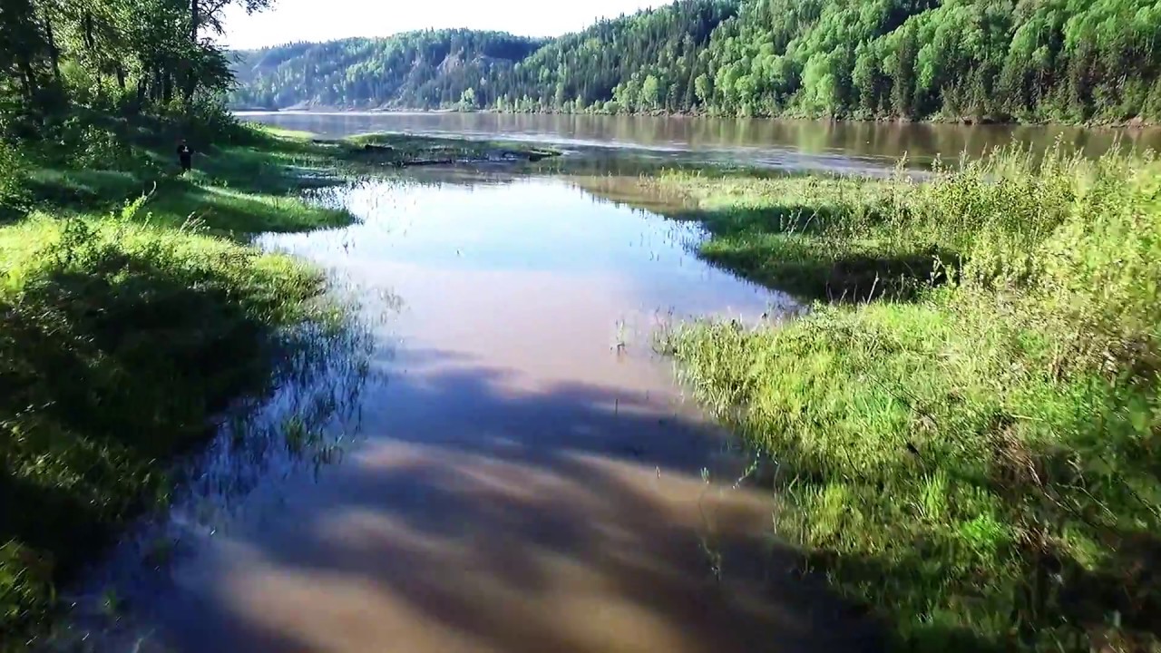 Flight To the River short - YouTube