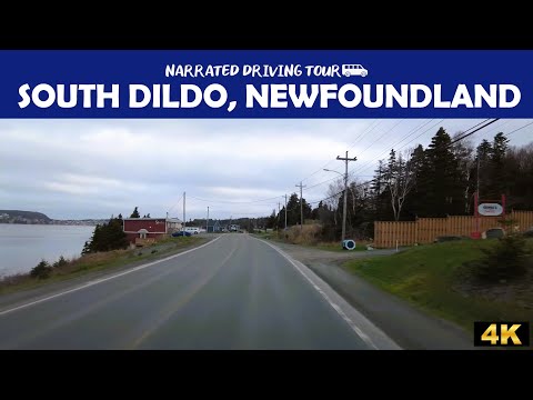🚗  South Dildo, Newfoundland  🌊🍁 4K Drive