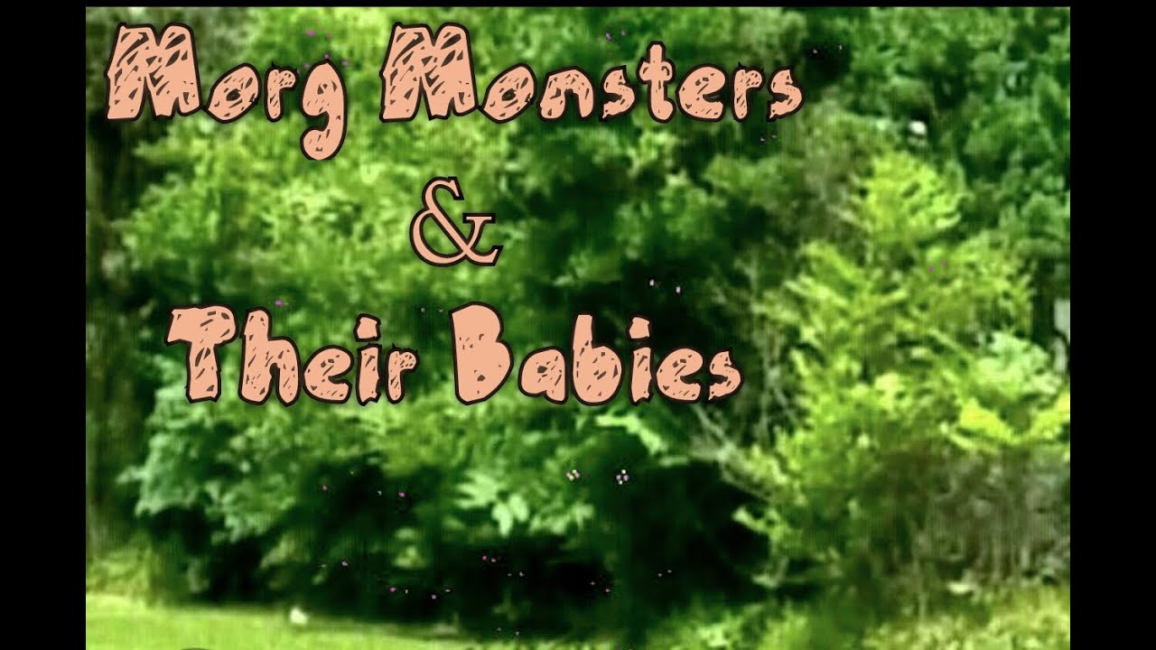 Morg Monsters & Their Babies 💀 Giant Hive Works Together Caring for ...