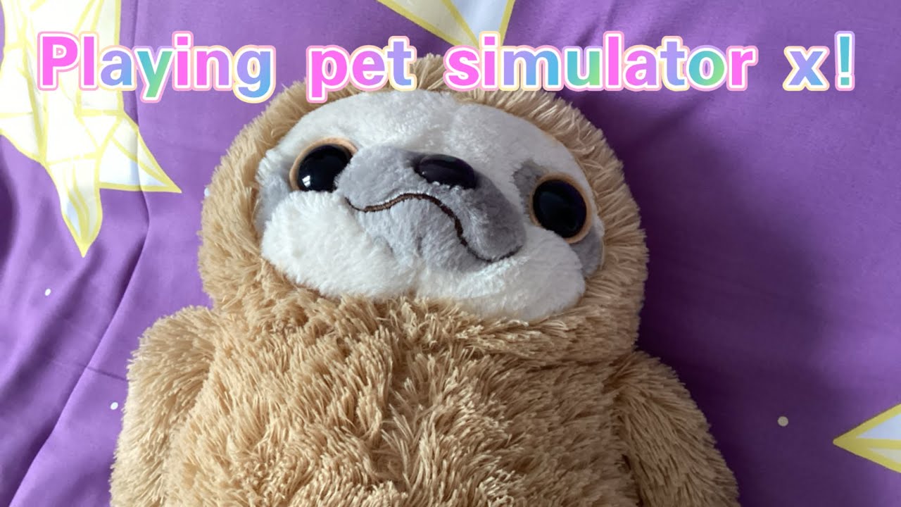 Playing Pet simulator x with Slothy! - YouTube