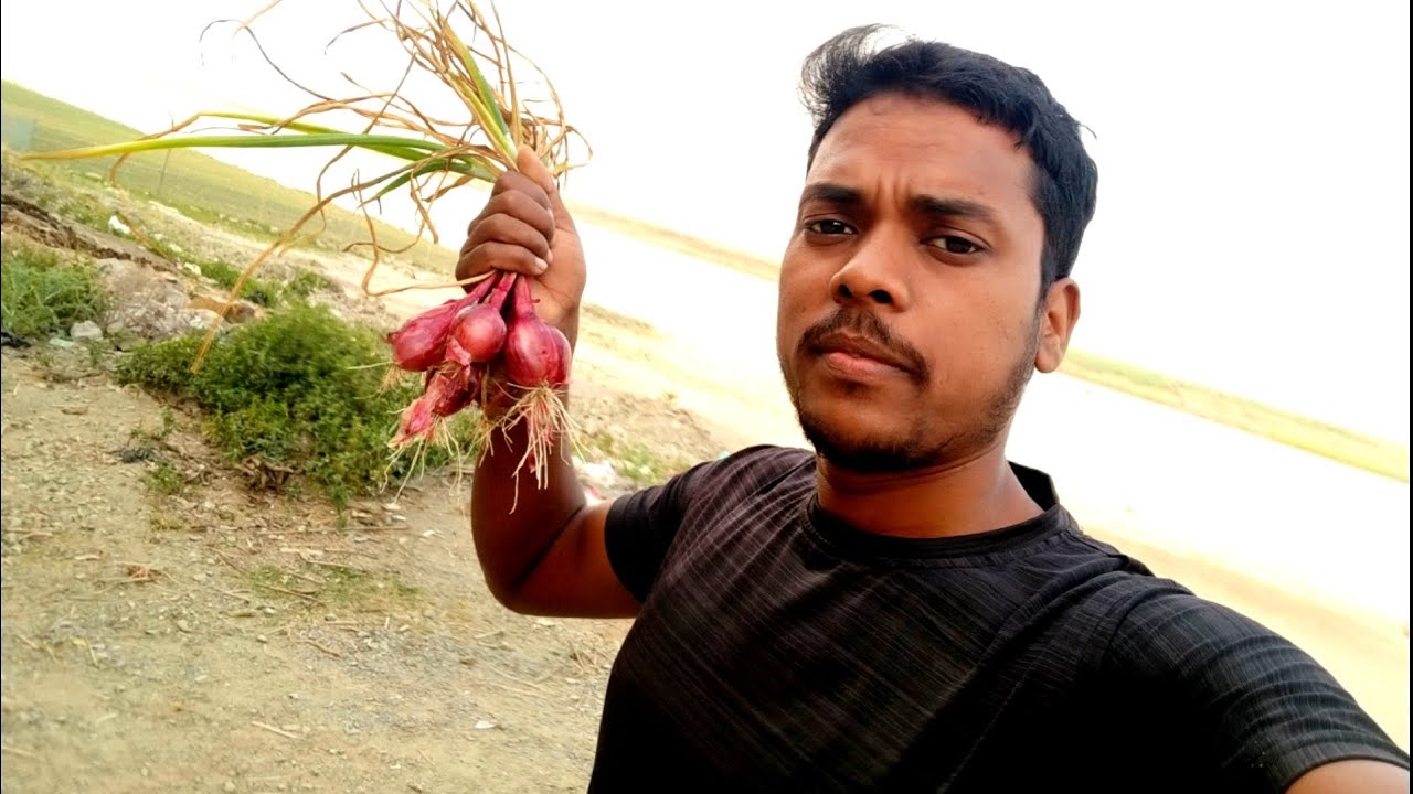 Jharkhand Ki Kheti Badi Kaise Hota Hai? Jharkhand ki kheti badi vlog🌾# ...