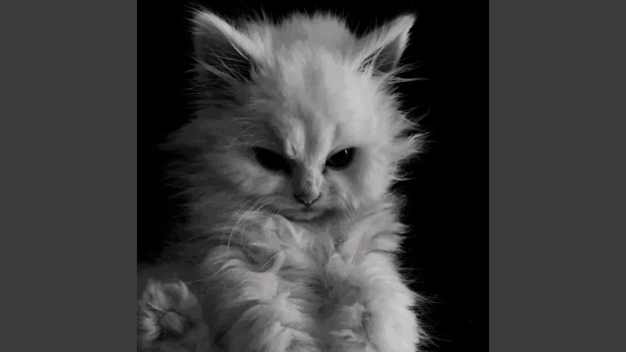 Vortex (完整版) - YouTube