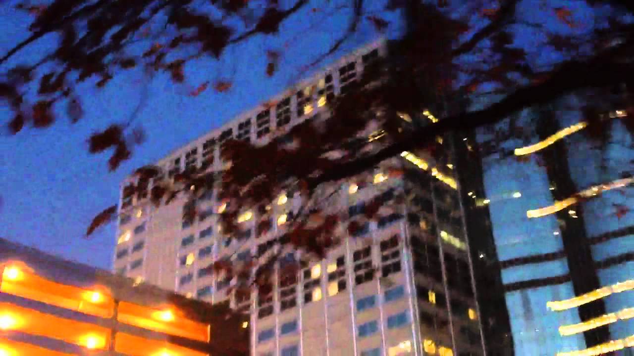 201202 - Crow Infestation, Downtown Rochester, MN - YouTube