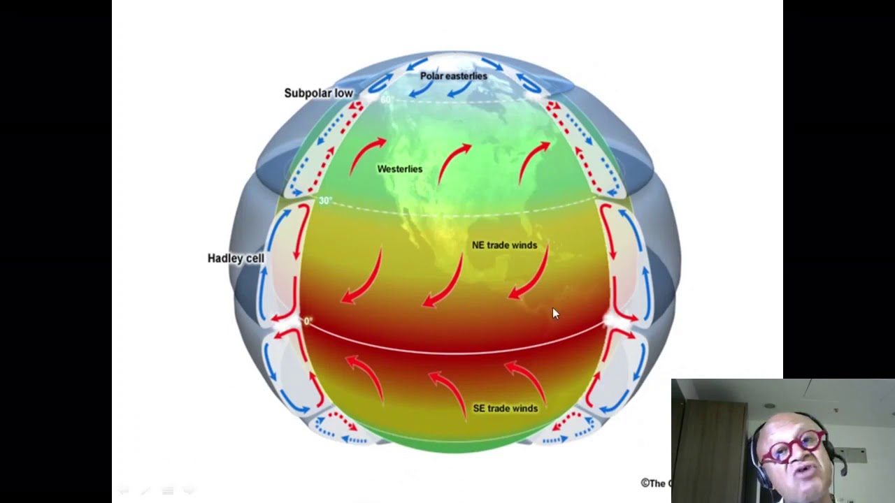 10 Meridional Cells - YouTube