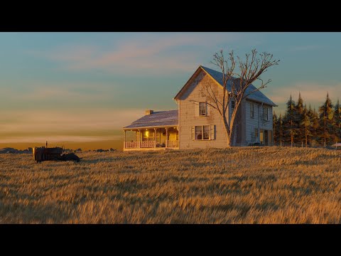 The Last of Us: Gentle Music for Relaxation