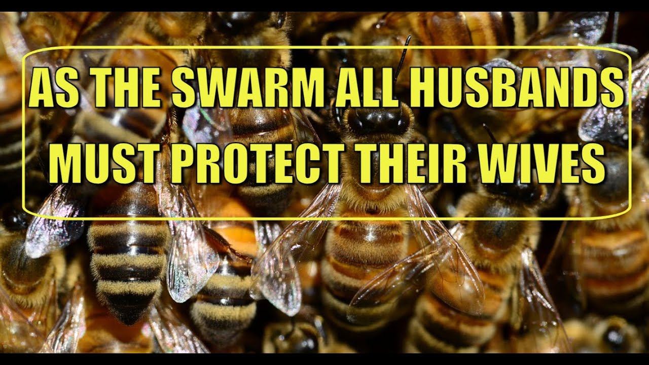 DIVINE MARRIAGES: THE BEE SWARM & QUEEN BEE A BIBLICAL METAPHOR FOR ...
