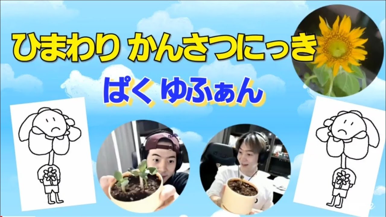 「ひまわりかんさつにっき🌻ぱく ゆふぁん」ユファンと夏休みの思い出 /Park Yuhwan ( 박유환 ) - YouTube