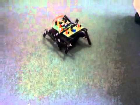 Kızılötesi Sensörlü Böcek Robot Projesi