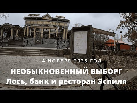Необыкновенный выборг. Лось, банковский дом и ресторан Эспиля