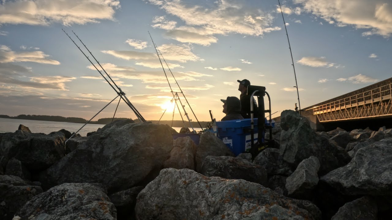LURE FISHING FOR BASS & TARGETING MINI SPECIES IN ANGLESEY ROCK MARK ...