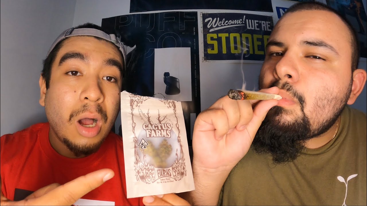 TRAVIS SCOTT CACTUS FARMS “PYT JACK” WEED REVIEW & REACTION! - YouTube