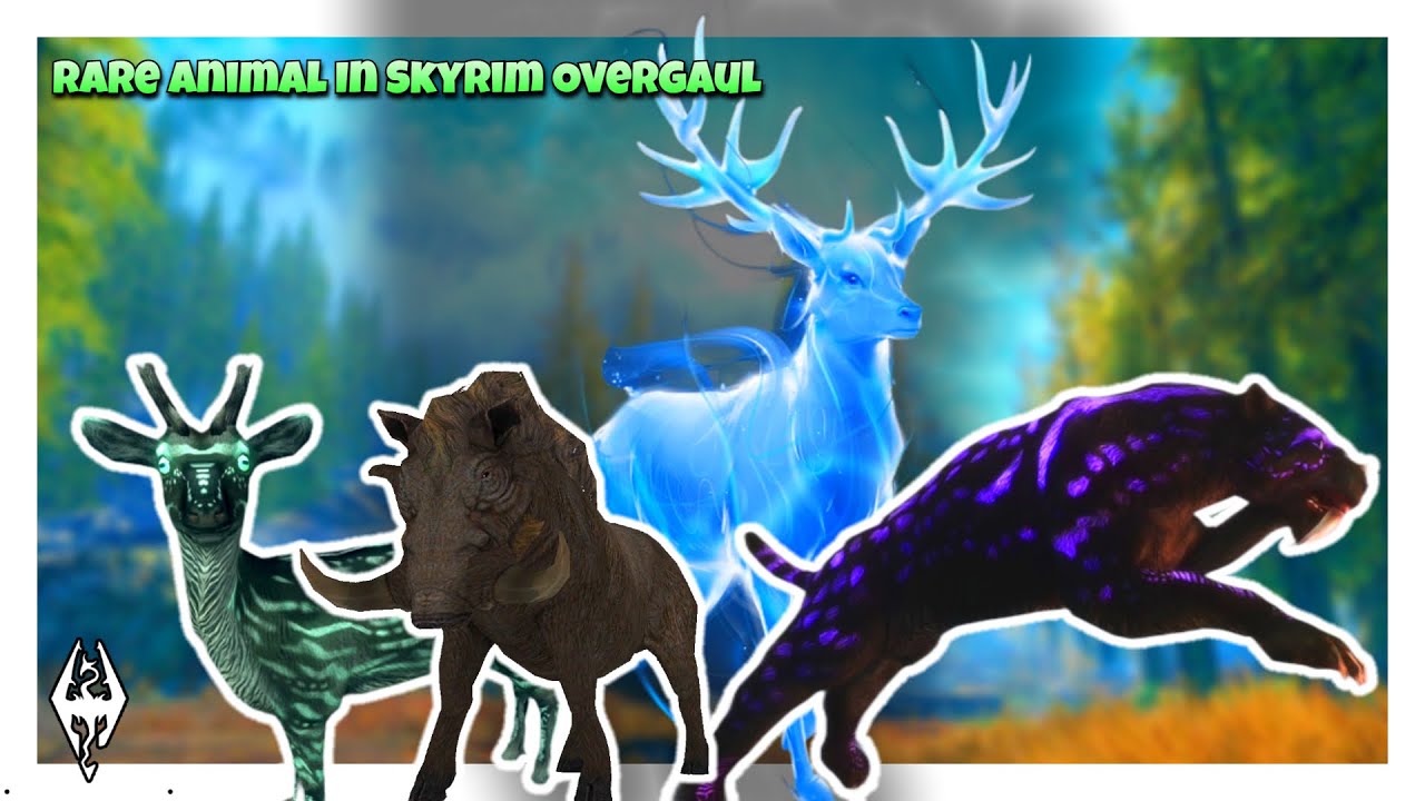 Skyrim Mods: Rare Animals Overhaul (PS4/XBOX1) - YouTube