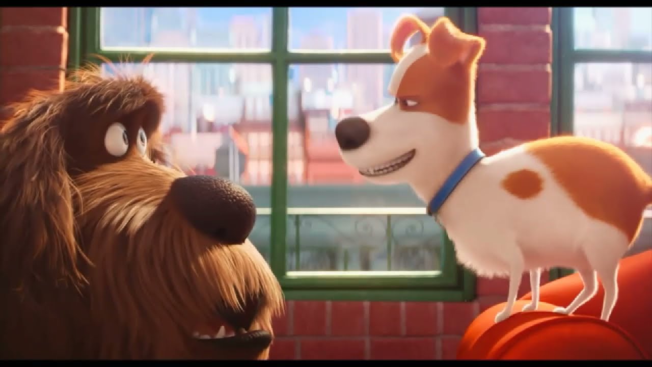 The Secret Life of Pets Movie CLIP - Trashing the Apartment (2016 ...
