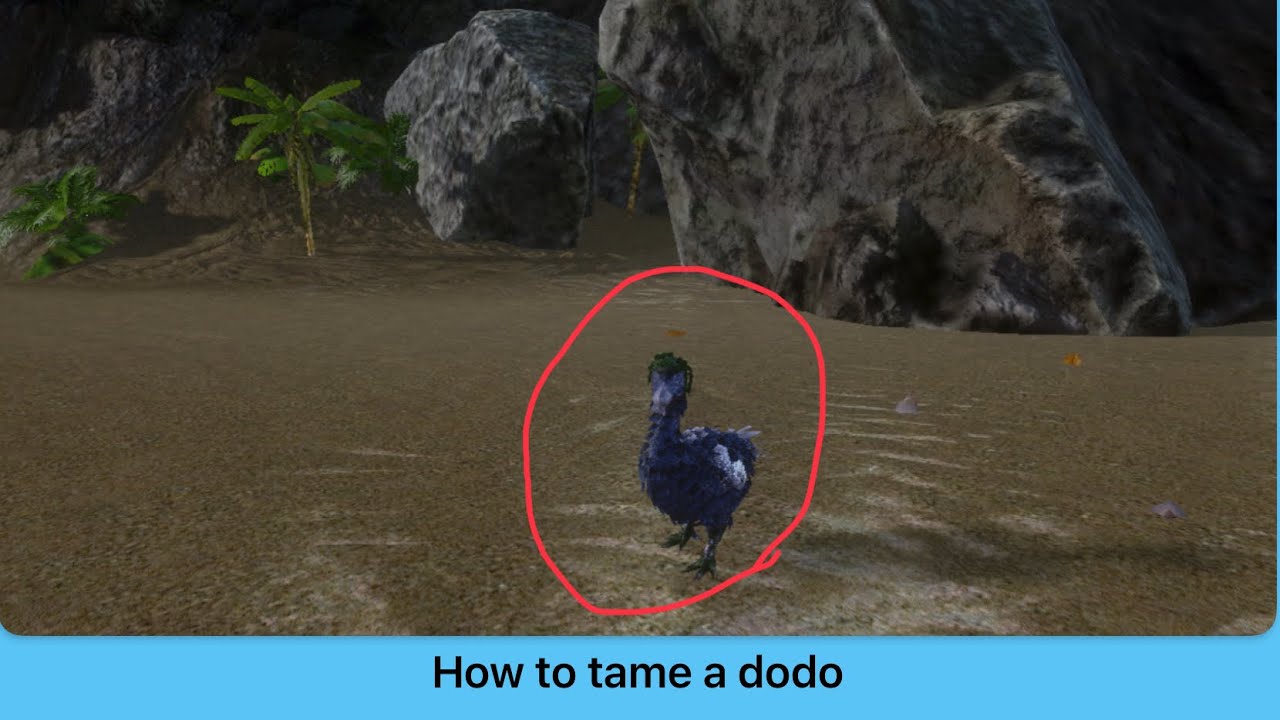 How to tame a dodo in ark - YouTube