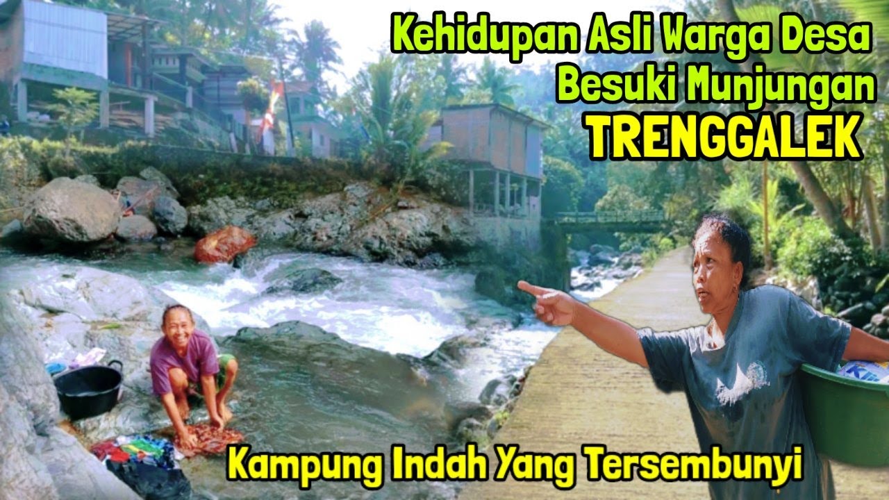 Suasana dan kehidupan asli warga desa Besuki Munjungan Trenggalek ...