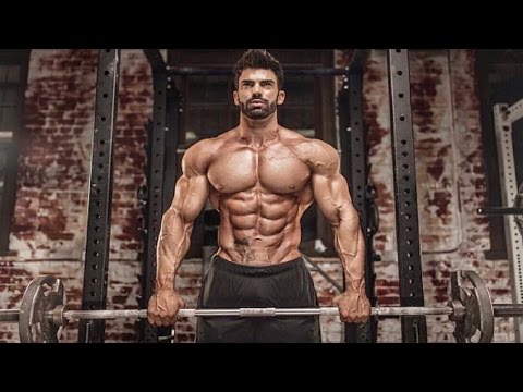 Sergi Constance Back Workout