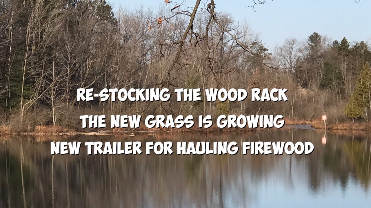 Re Stocking Grass is growing Time for more Wood - YouTube