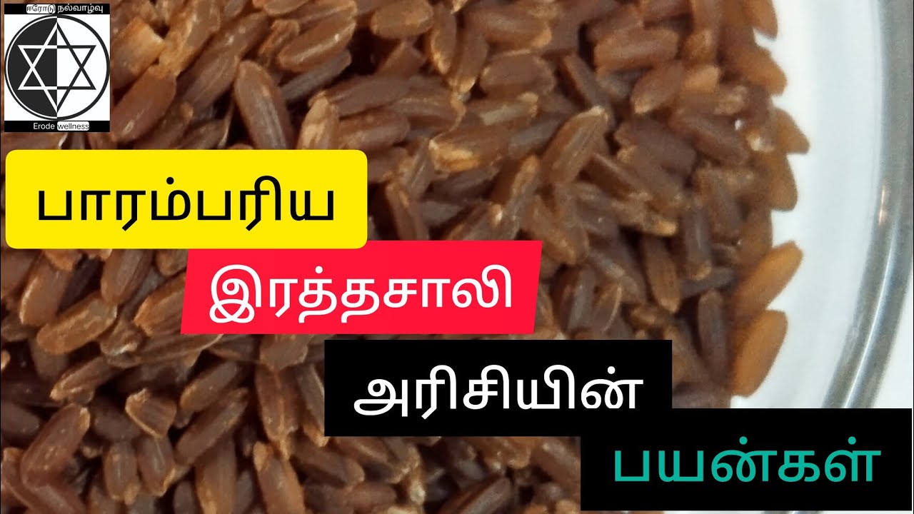 #246 இரத்தசாலி/ரக்தசாலி/Rathasali/Medicinal red rice #healthyfood # ...