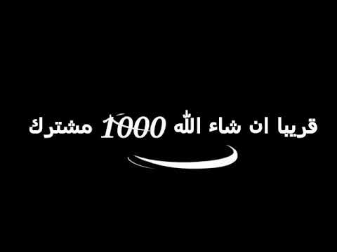 Adam hamrita vs dayler