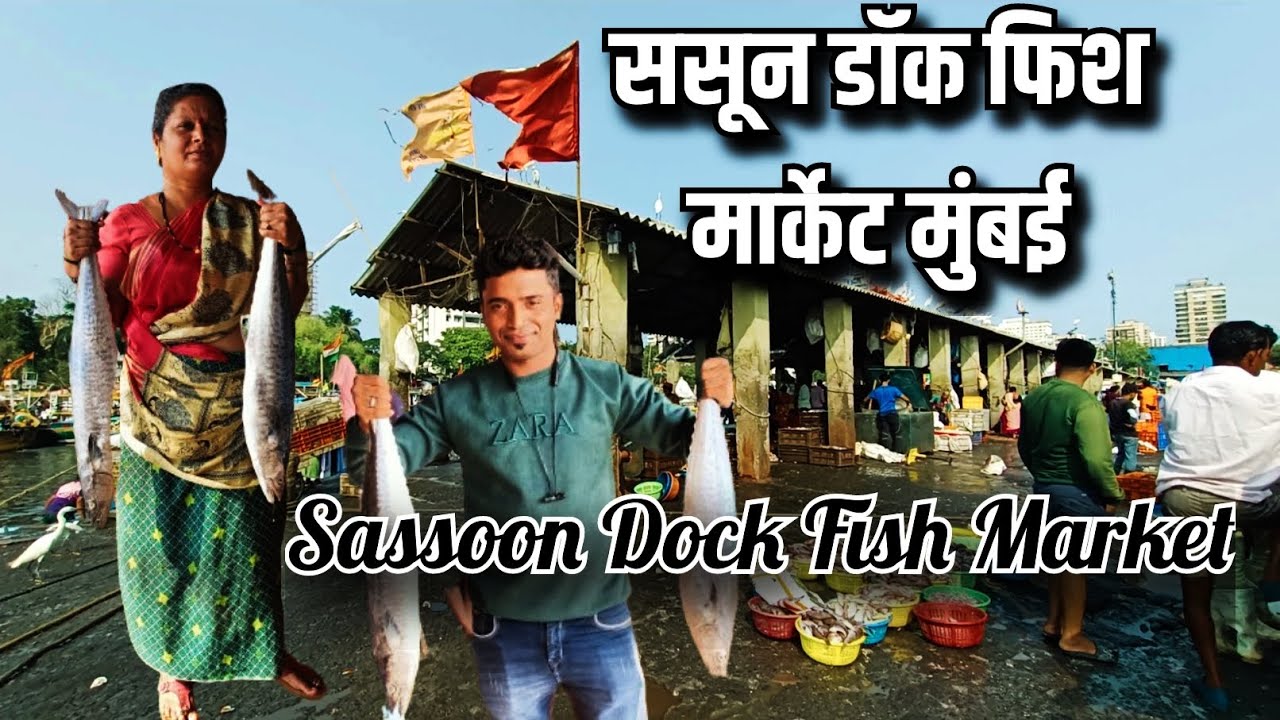 ससून डॉक फिश मार्केट मुंबई/Sassoon Dock Fish Market/Colaba fish market ...