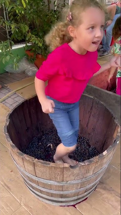 Grape stomping, a traditional italian method of wine making - YouTube