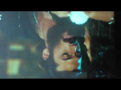 Erkenci kuş klip ela