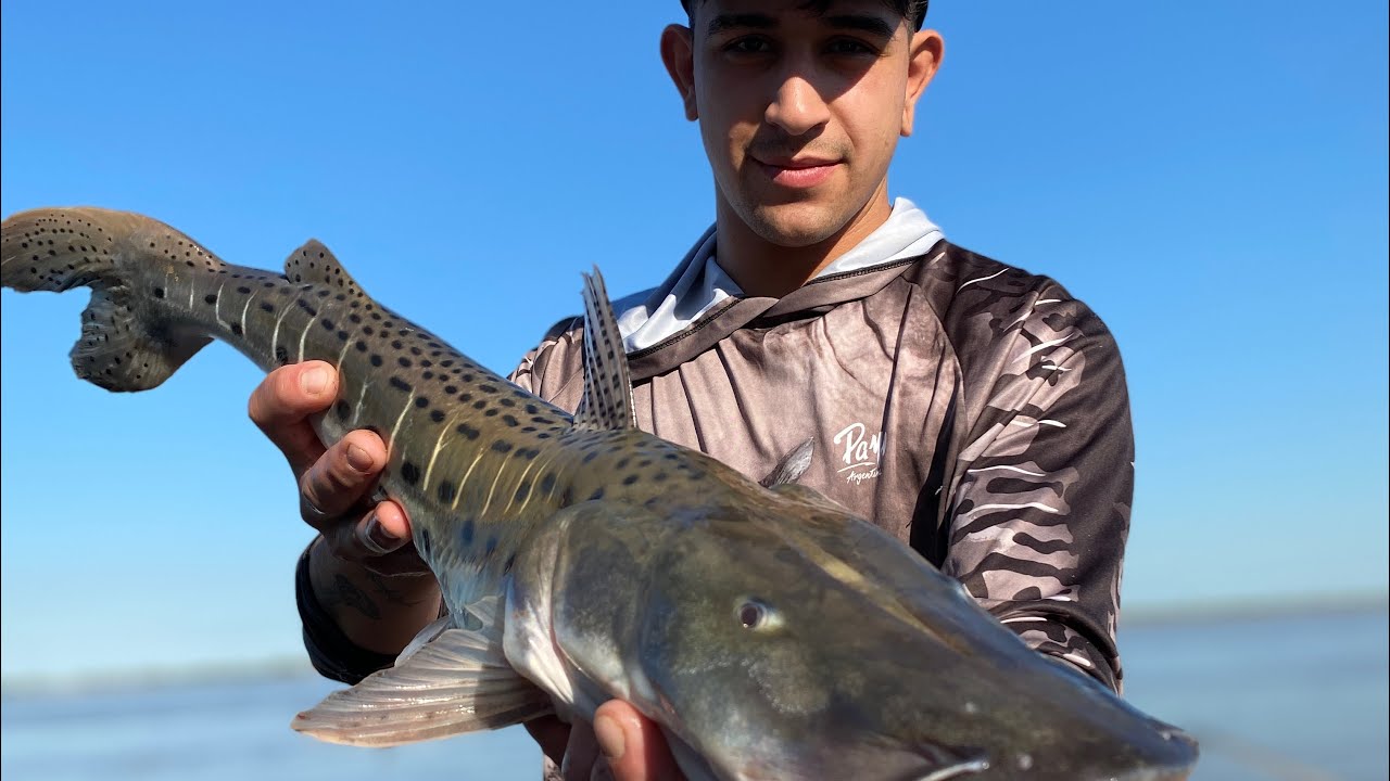 Pesca de surubi y dorado con cascarudos ,(puerto san Martín ...
